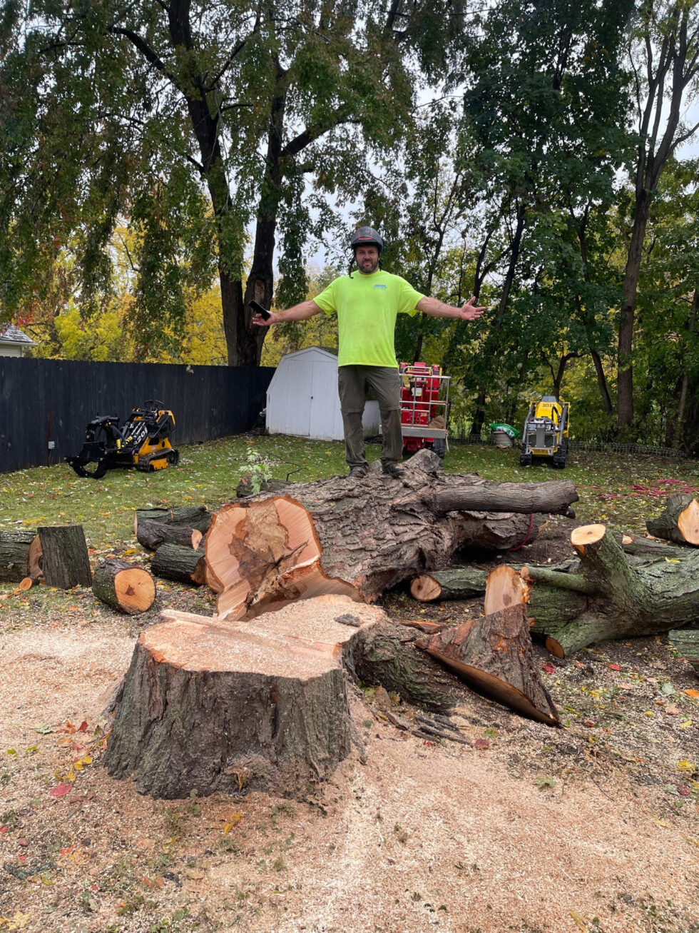 Total Tree Services Inc: Tree Removal and Tree Care Services